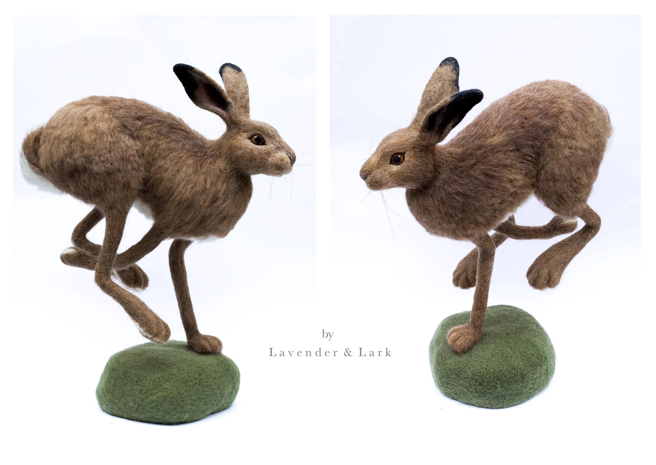 Hare — Lavender & Lark