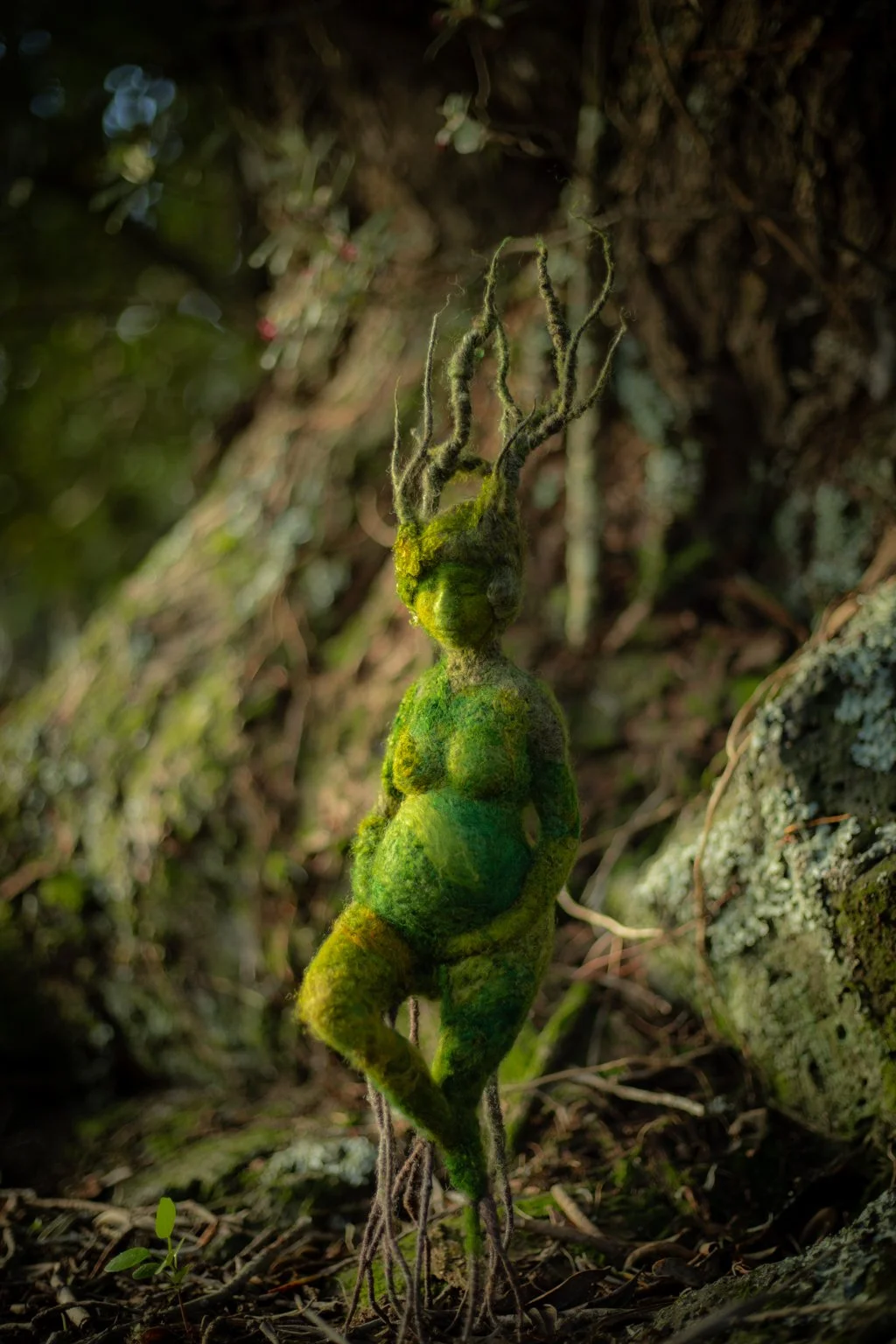 BLOG — Lavender & Lark