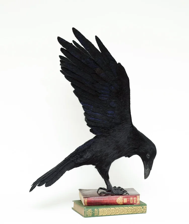 BLOG — Lavender & Lark