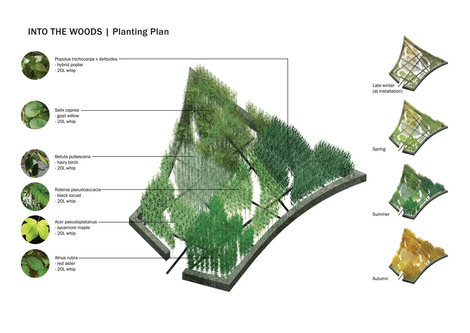 Home- RAFT Landscape Architecture, DPC