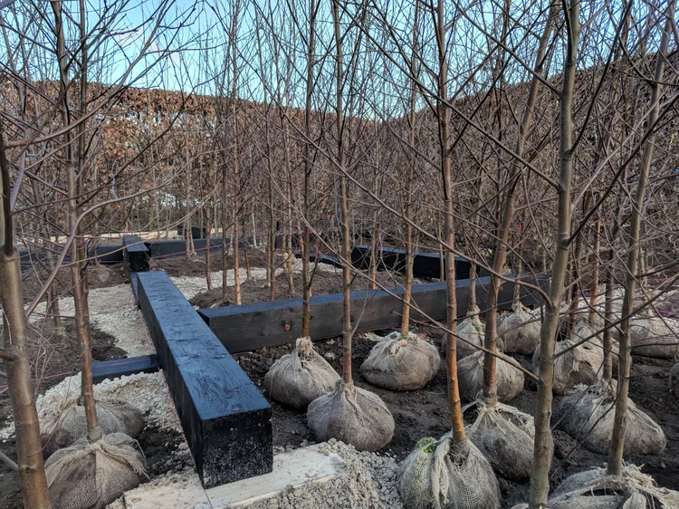 Home- RAFT Landscape Architecture, DPC