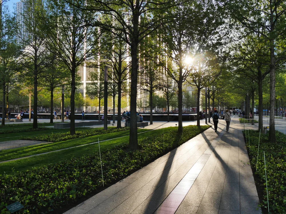 Home- RAFT Landscape Architecture, DPC