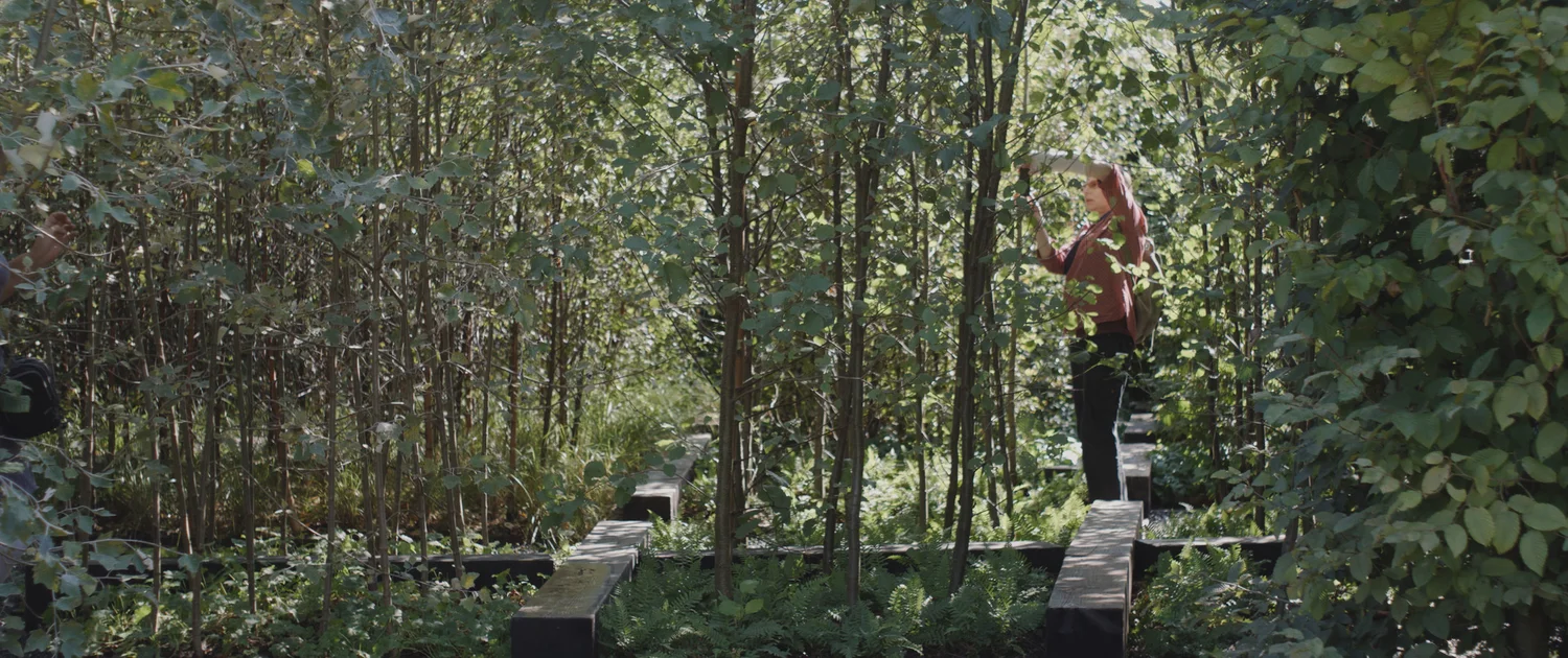 Home- RAFT Landscape Architecture, DPC