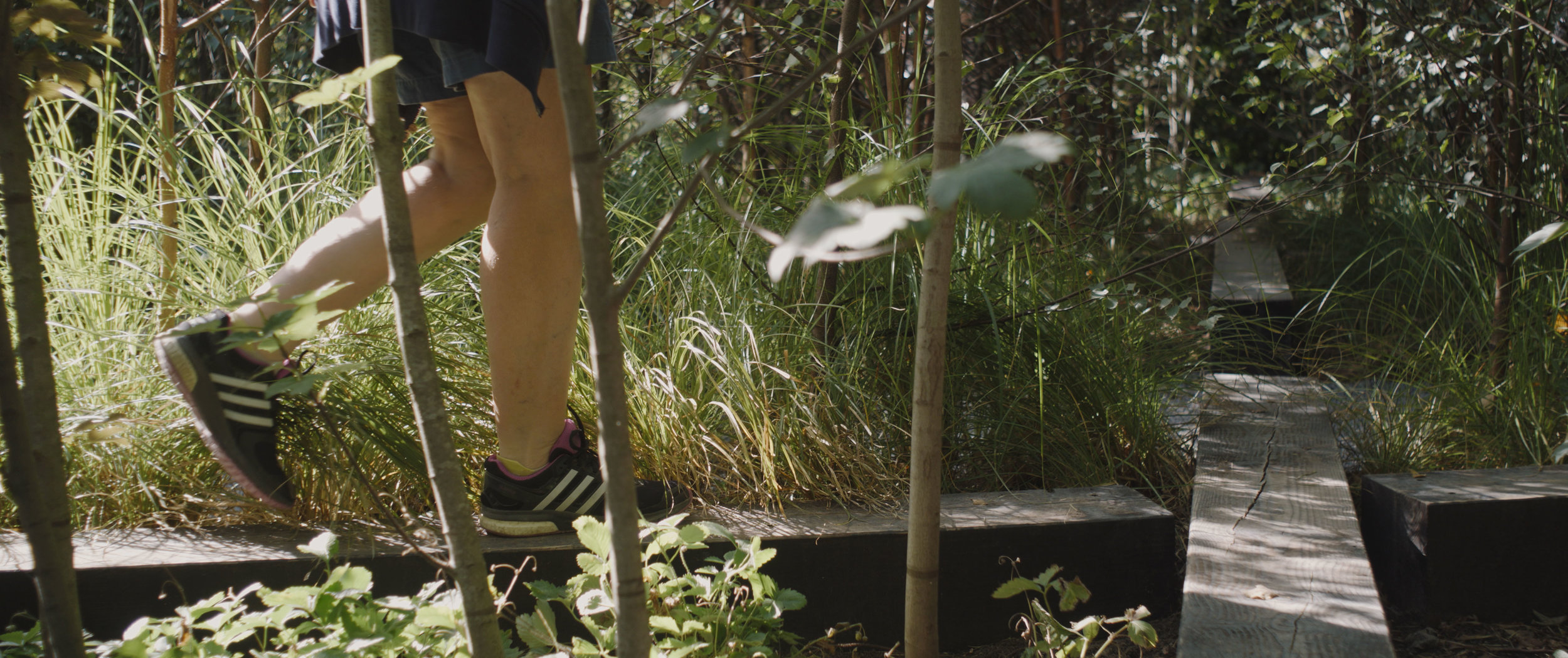 Home- RAFT Landscape Architecture, DPC