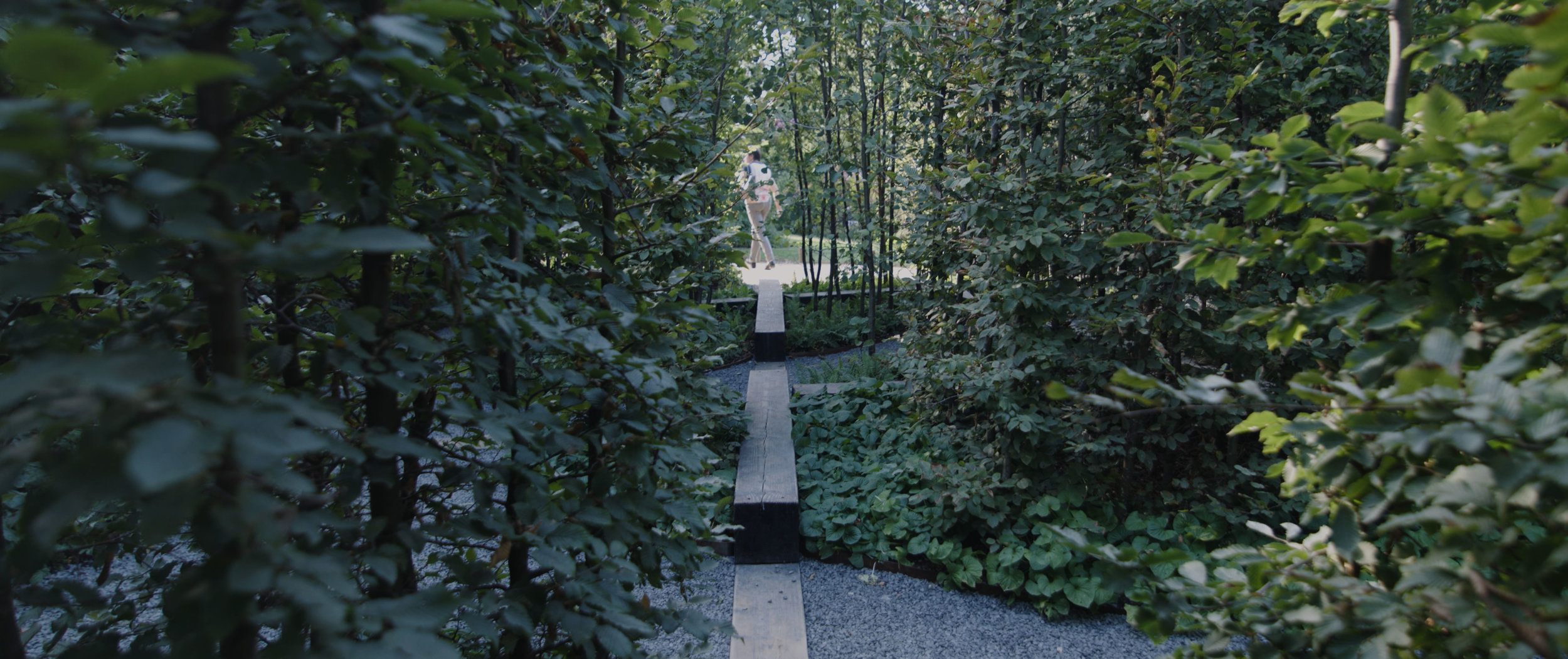 Home- RAFT Landscape Architecture, DPC