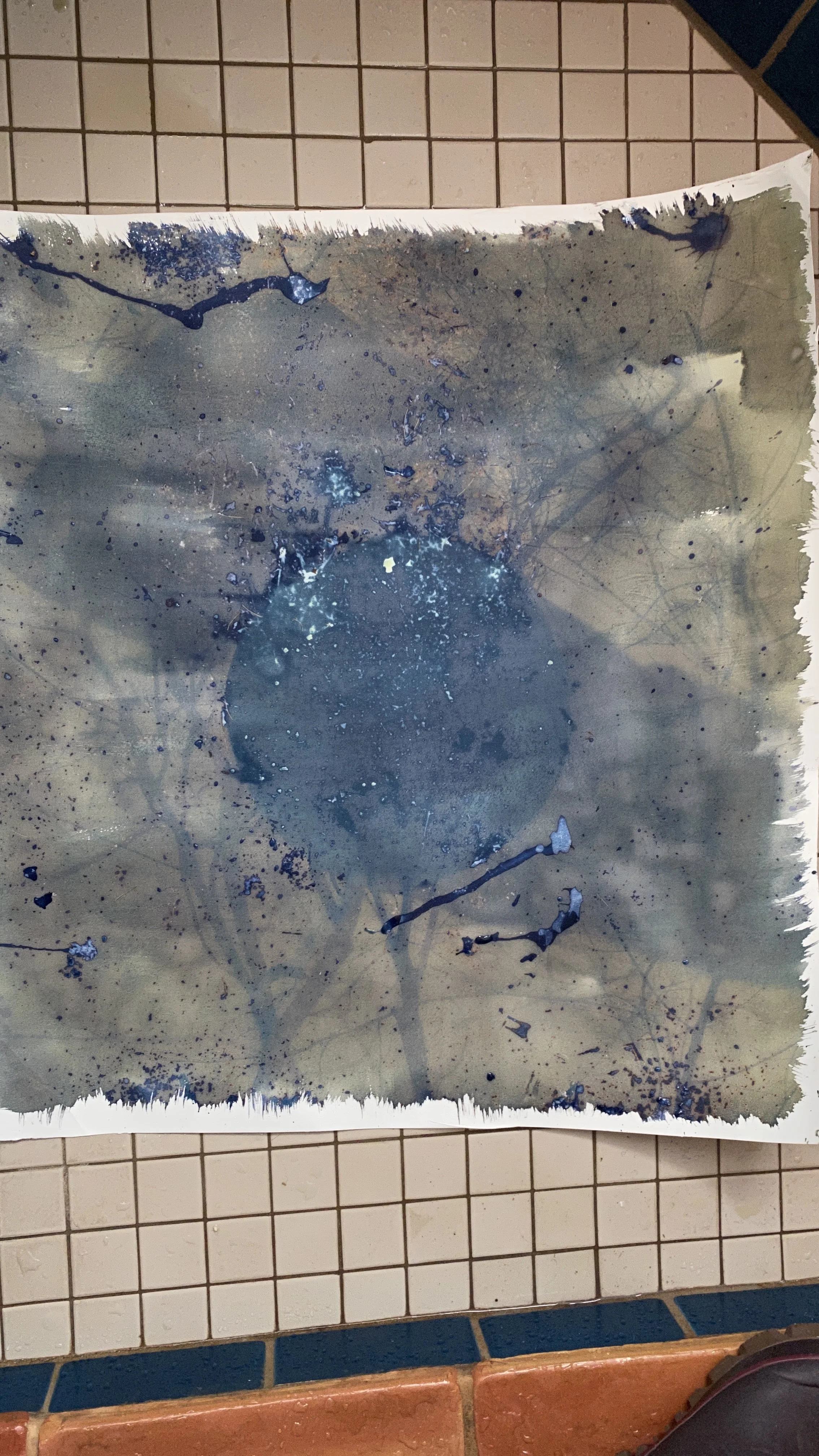 What is a Cyanotype? — Claire Coté