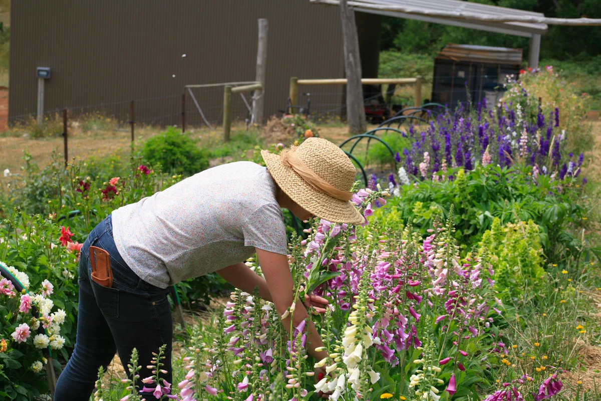 The Little Flower Farm Omagh | Best Flower Site