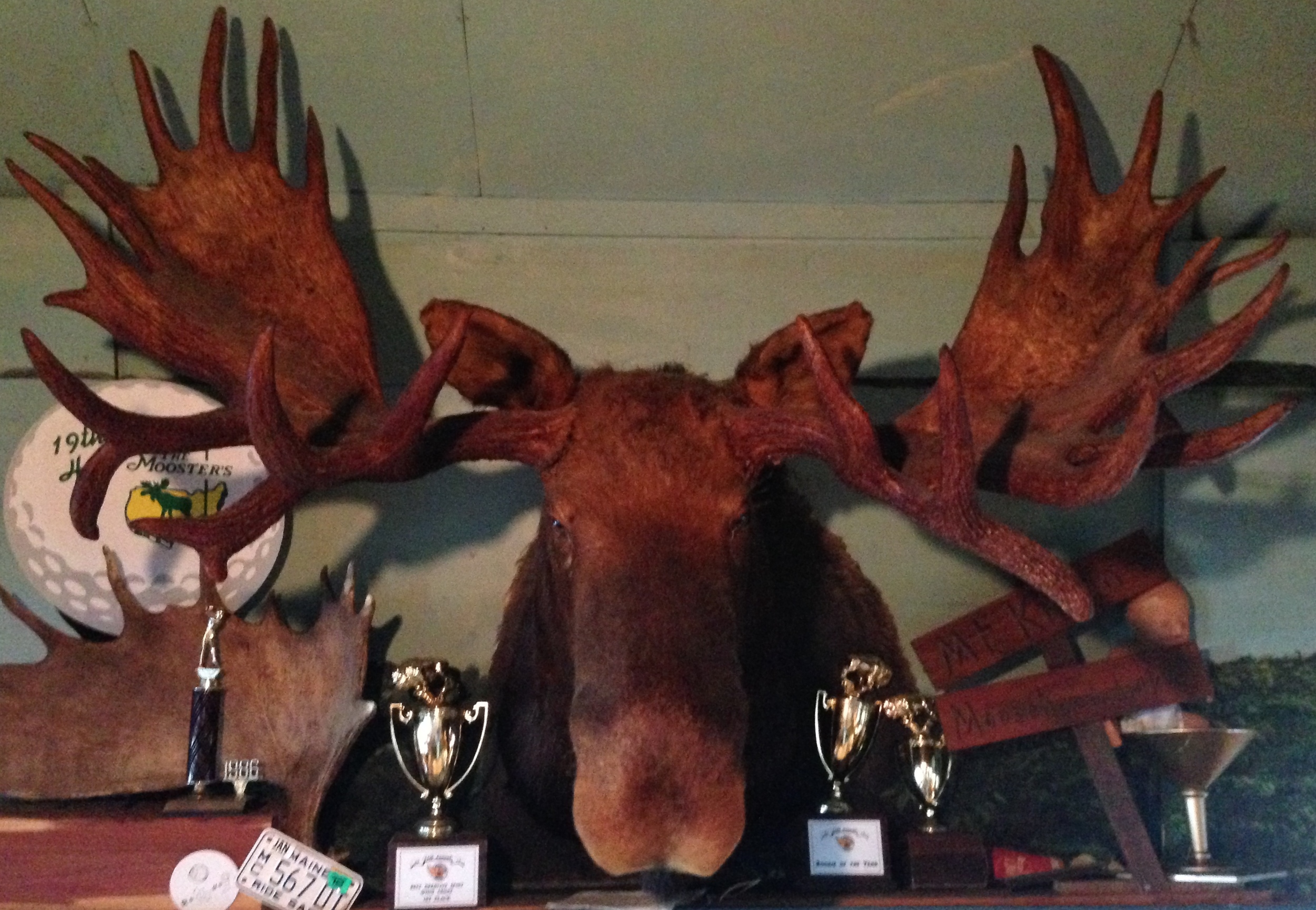 Welcome to Moosehead Grill