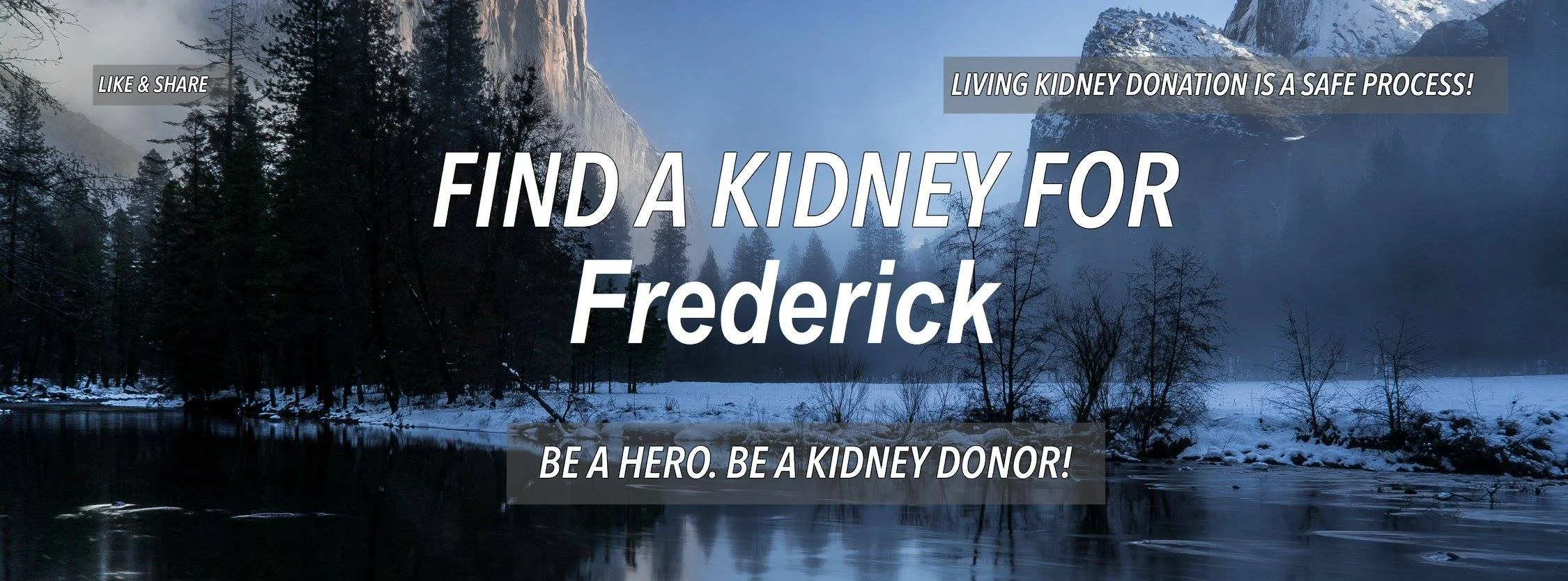 KidneyBuzz.com: Chronic Kidney Disease Information, Dialysis Tips ...