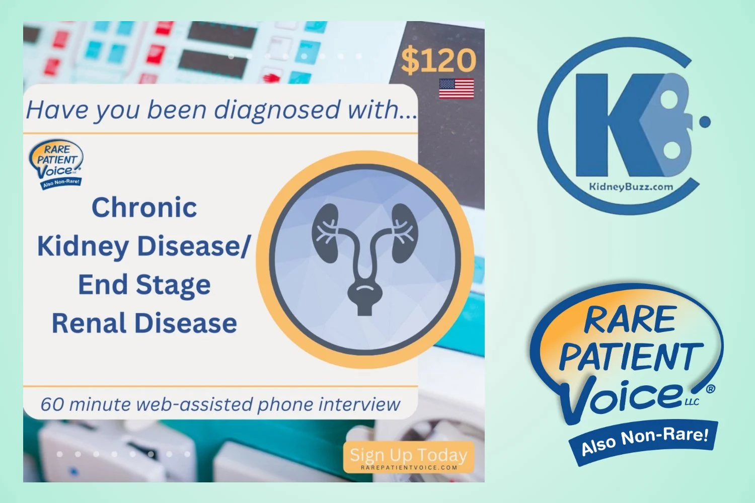 KidneyBuzz.com: Chronic Kidney Disease Information, Dialysis Tips ...