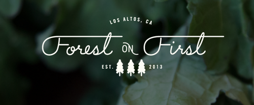 Forest on First — The H&H Company