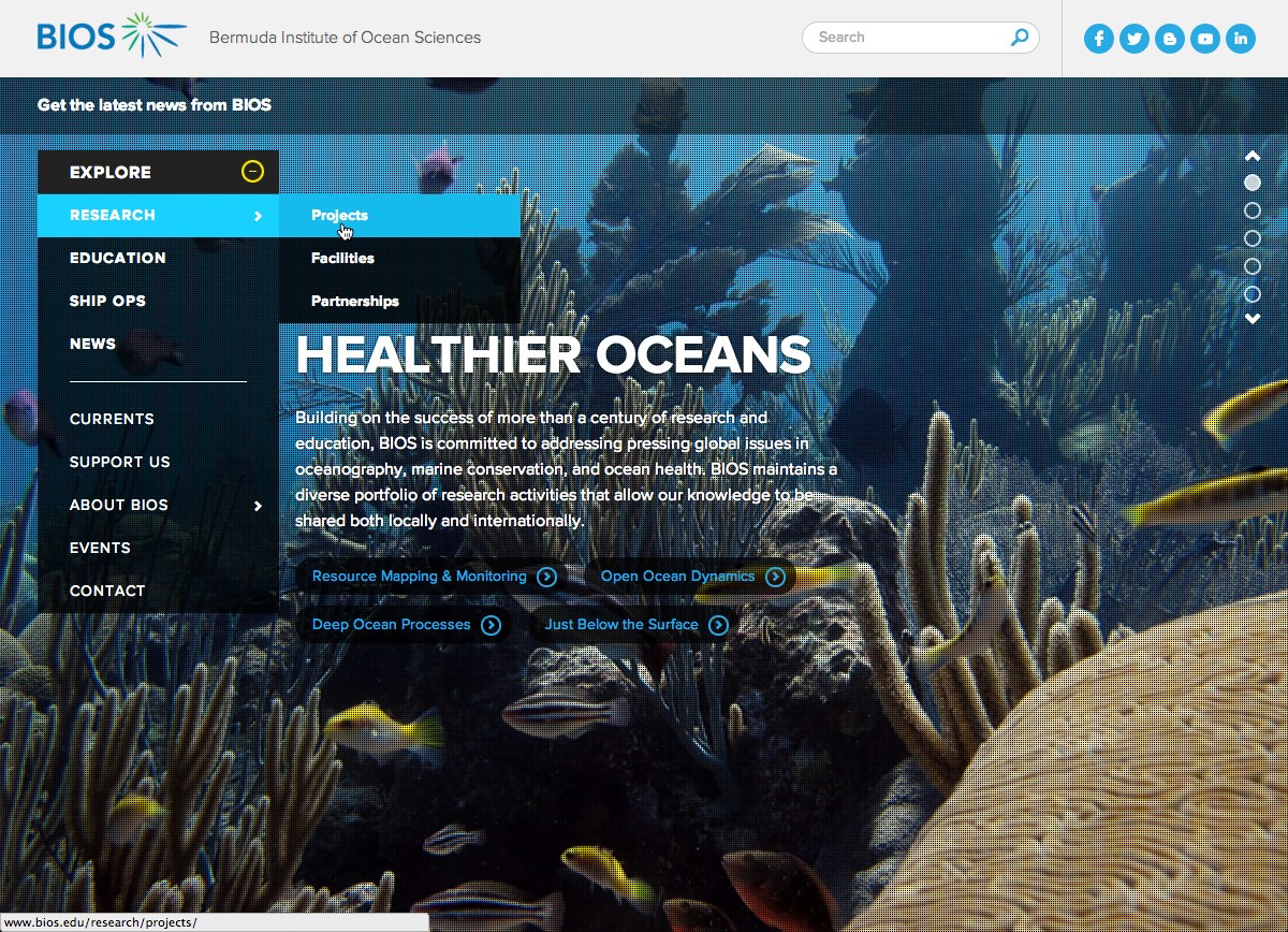 Bermuda Institute of Ocean Sciences Website — Ben Paluba