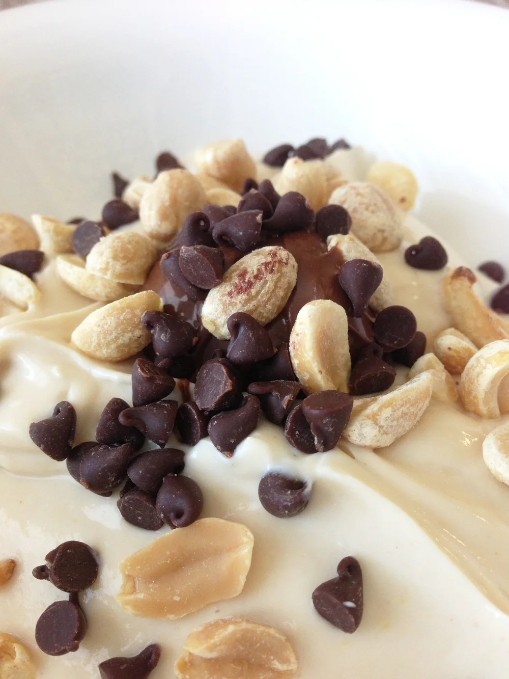Peanut Butter Chocolate Chip Yogurt — The Skinny Fork
