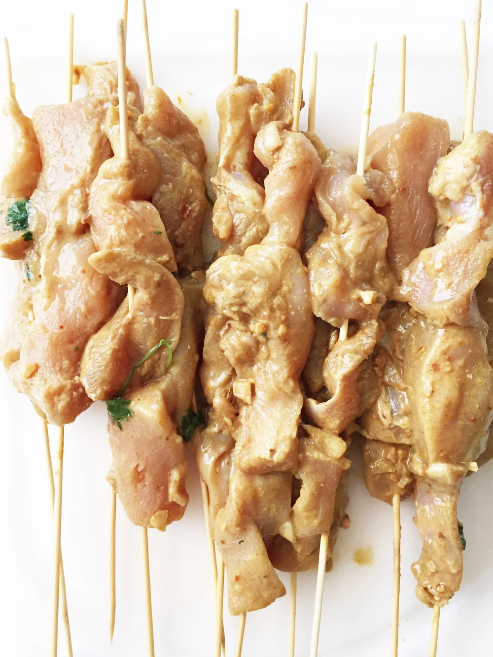 Chicken Satay — The Skinny Fork
