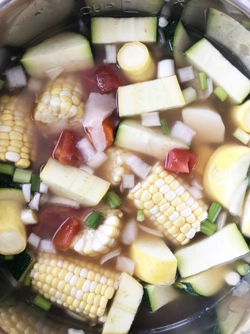 Instant Pot Chicken Caldo — The Skinny Fork