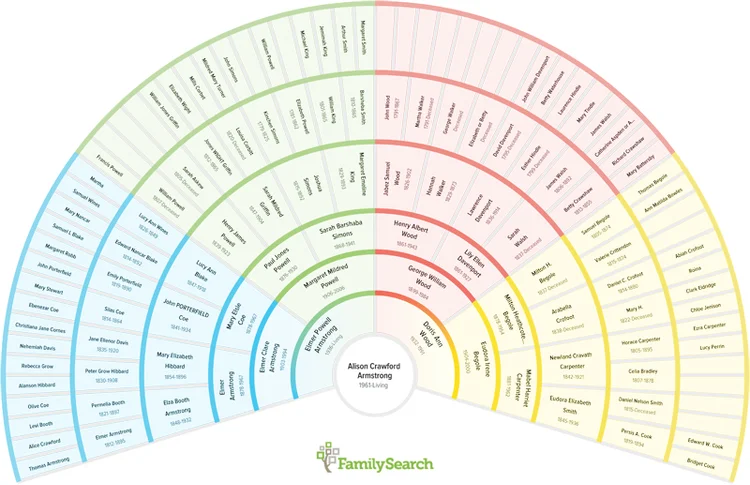 Have you seen this?! Cool new genealogy charting tool - Puzilla ...