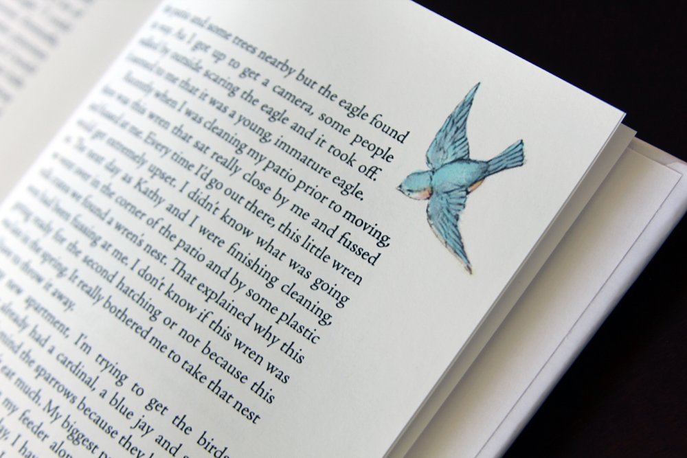 Book highlight: A Mother's Story — Pictures and Stories