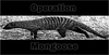 Operation Mongoose — TPAAK