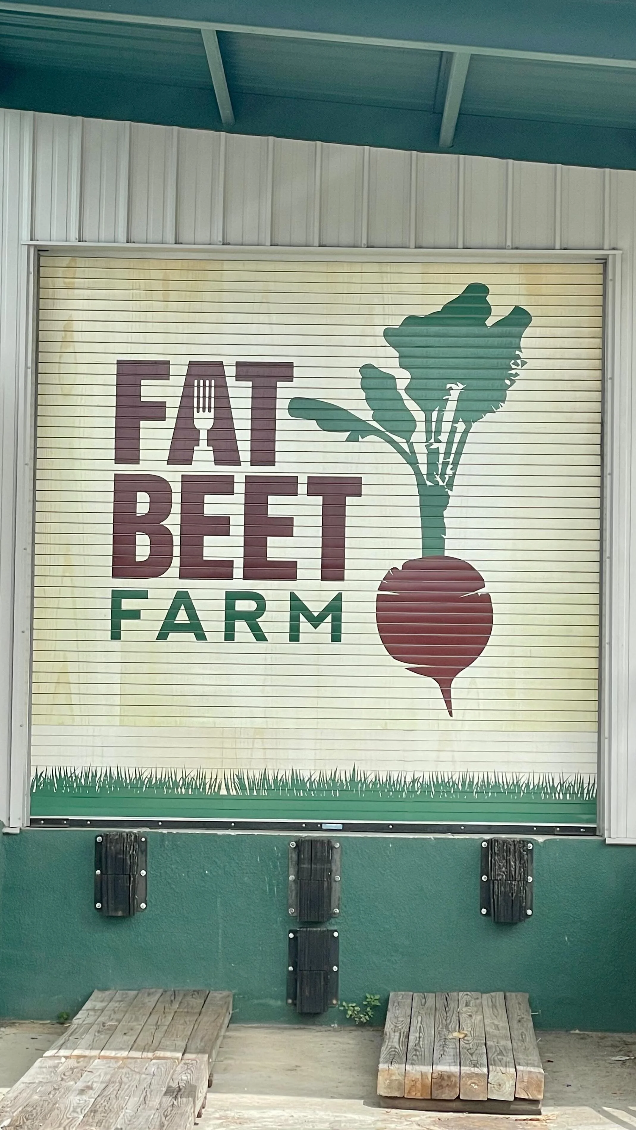 {Jessica & Jeff @ The Tampa Marriott Waterside } | Carrie Wildes ...