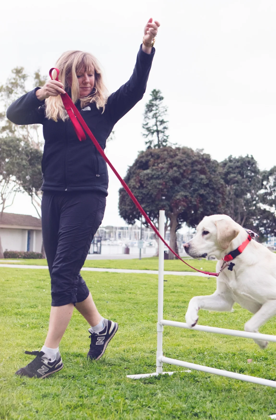 Meet the team — Tully's Training