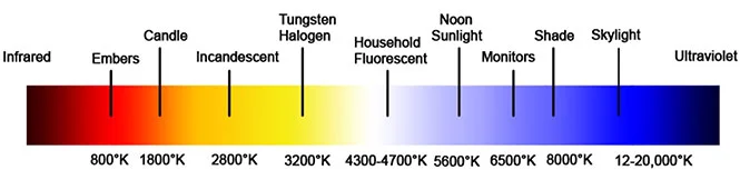 Tungsten Vs Fluorescent