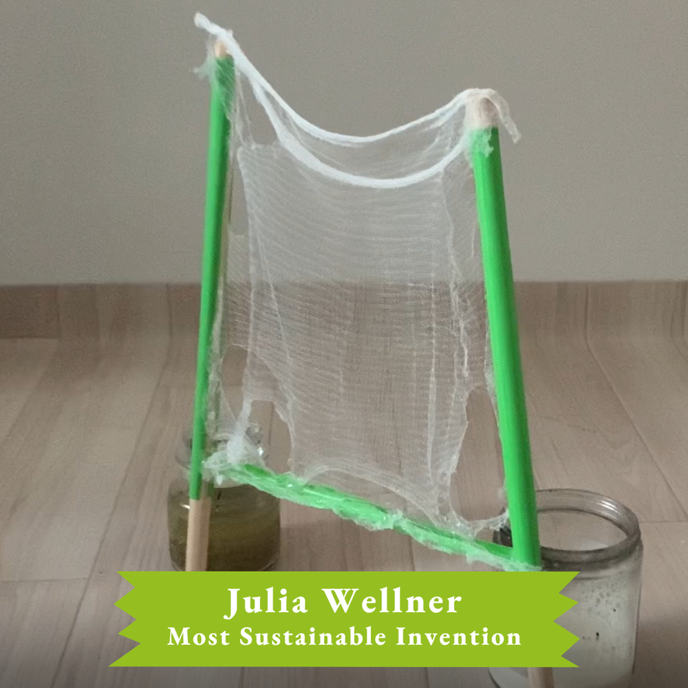 The inventors and their inventions — greenlight for girls