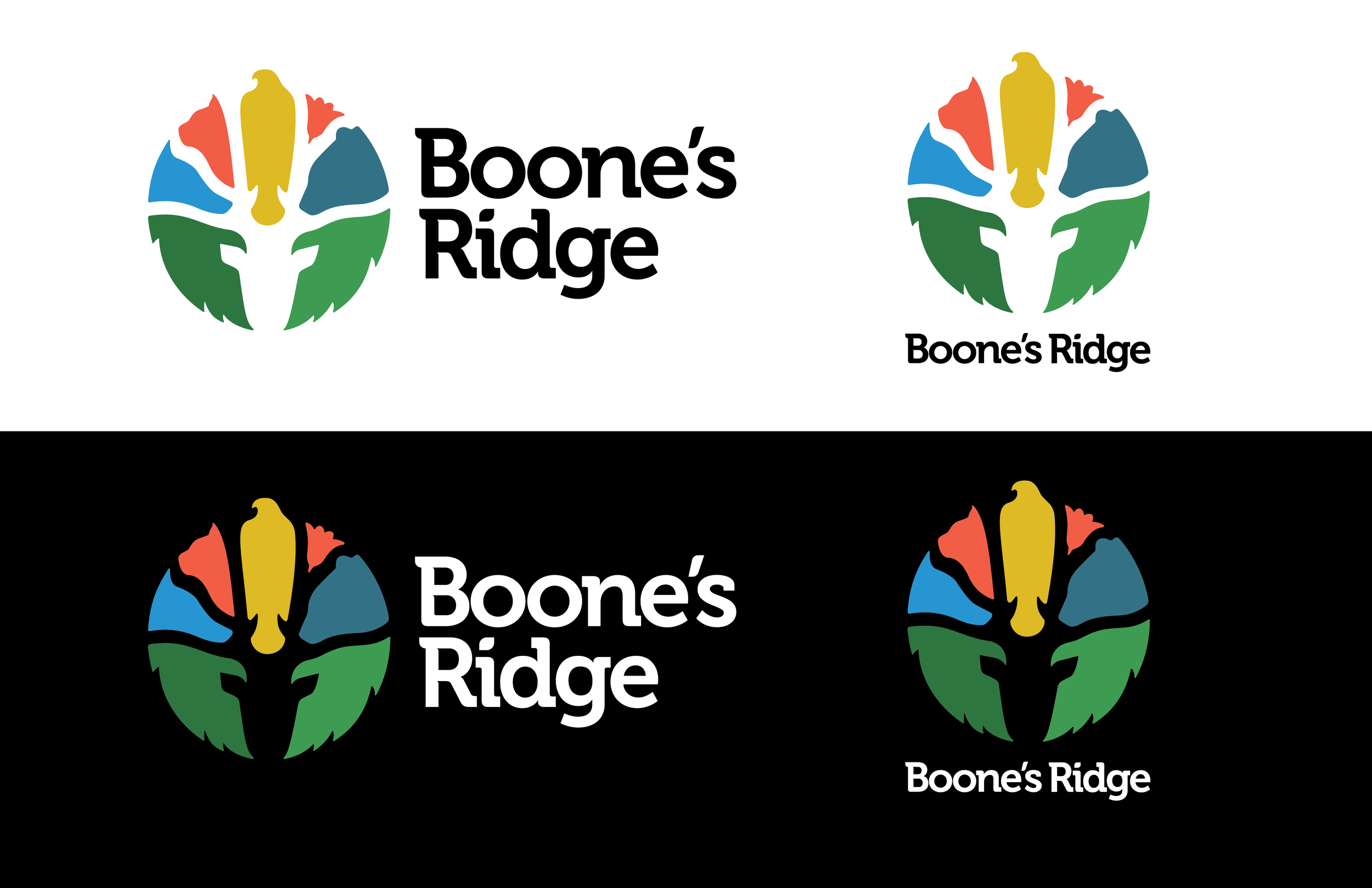 Boone's Ridge Logo — Andrew Niehaus 江安中