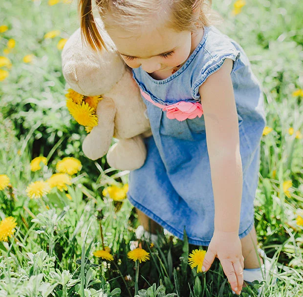 Heidi Randall Studios