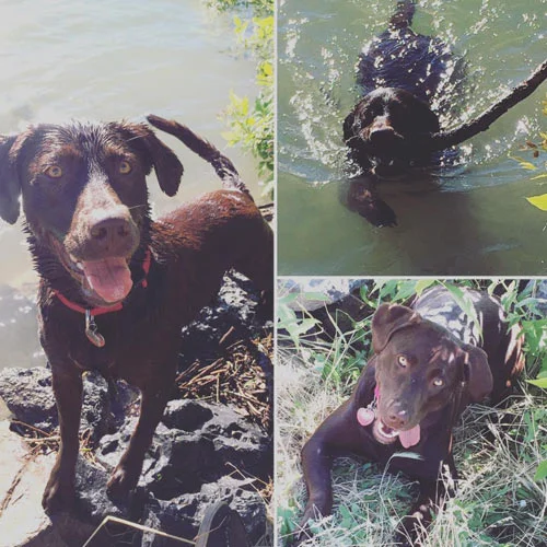 About — Heidi Randall Studios