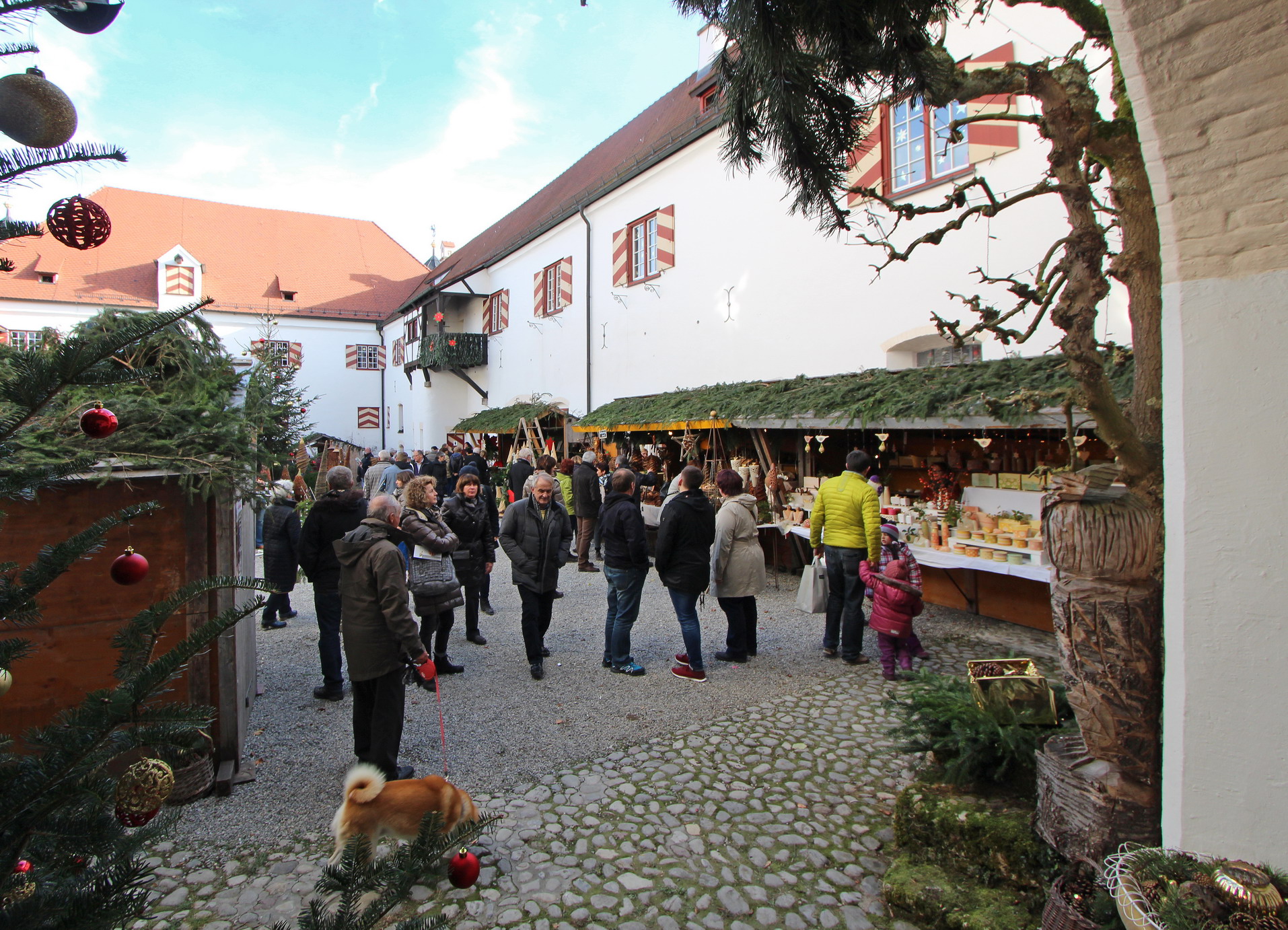 Bilder WM 2015 — Schloss Kronburg