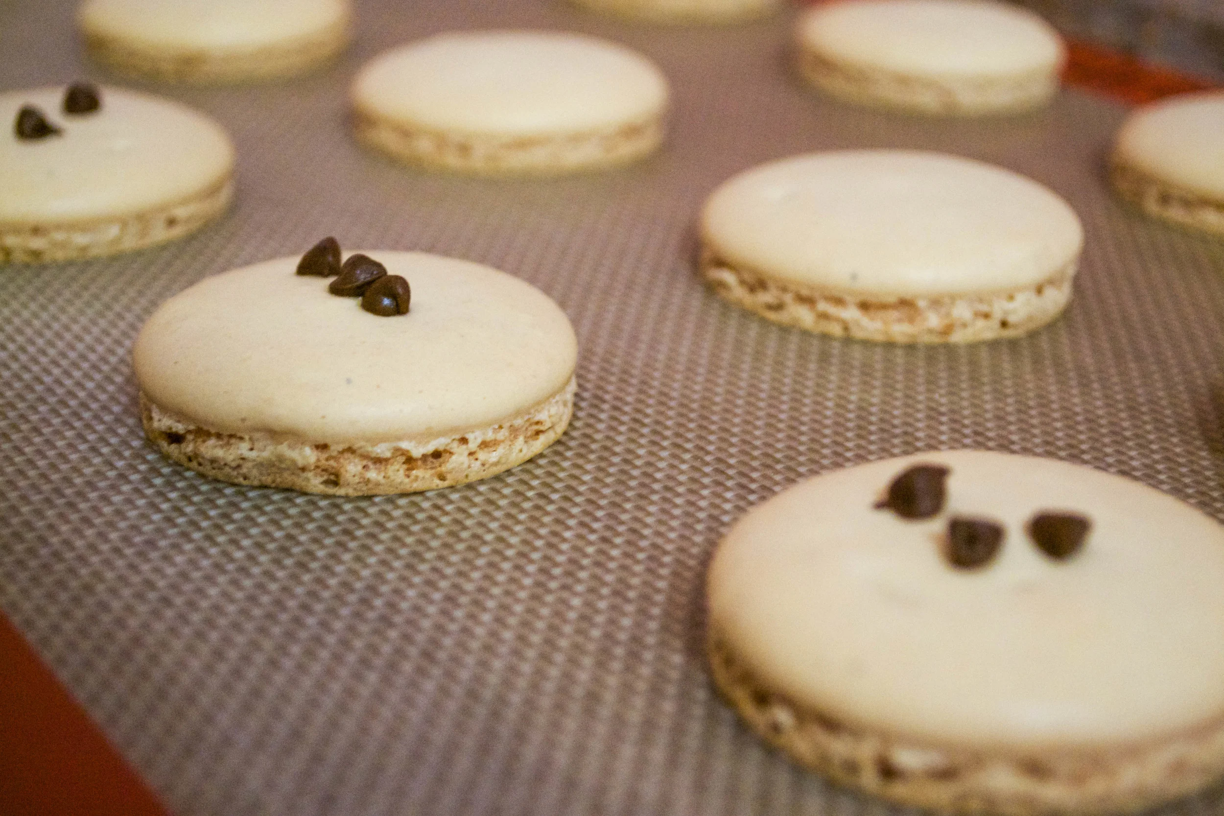 New Oven, New Recipe! — THE GIRL KYLE