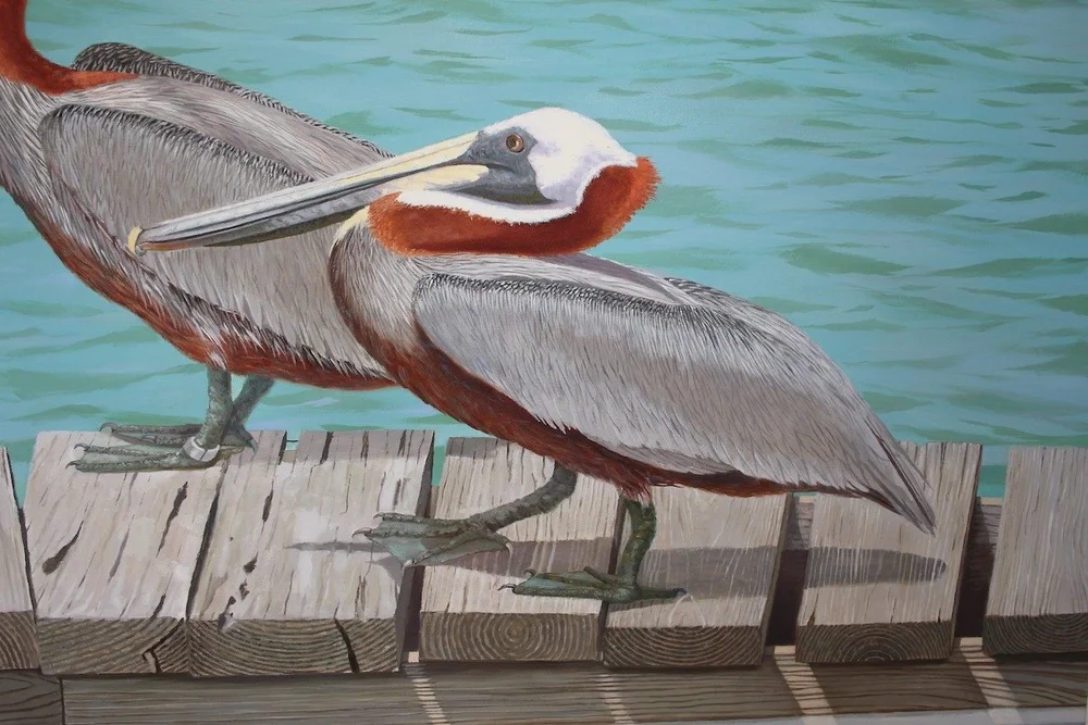 Pelican Pals Morning Walk ~ Fred and Barney kibitzing! — The paintings ...