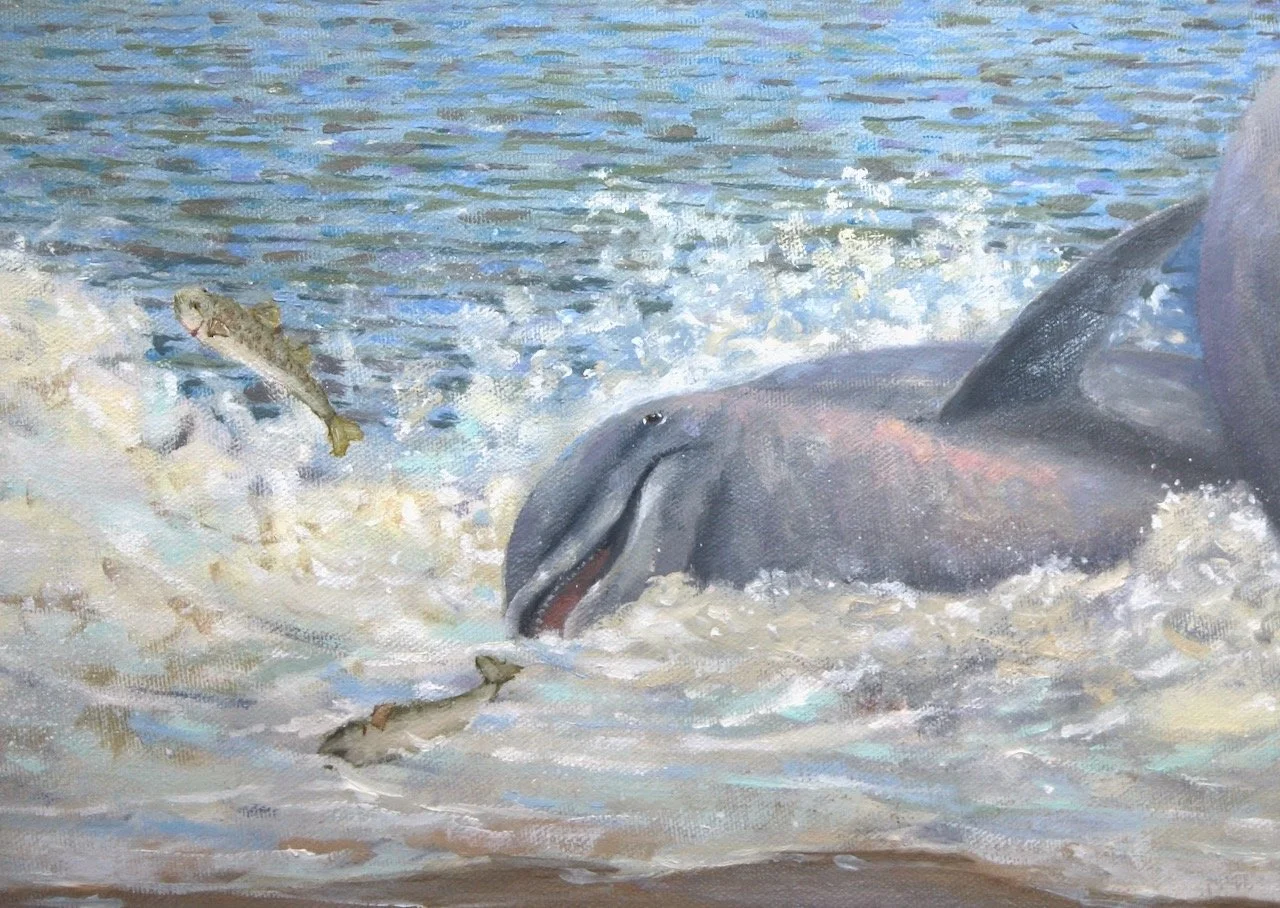 Brunch at Captain Sam’s Inlet ~ Dolphins strand feeding on Kiawah ...