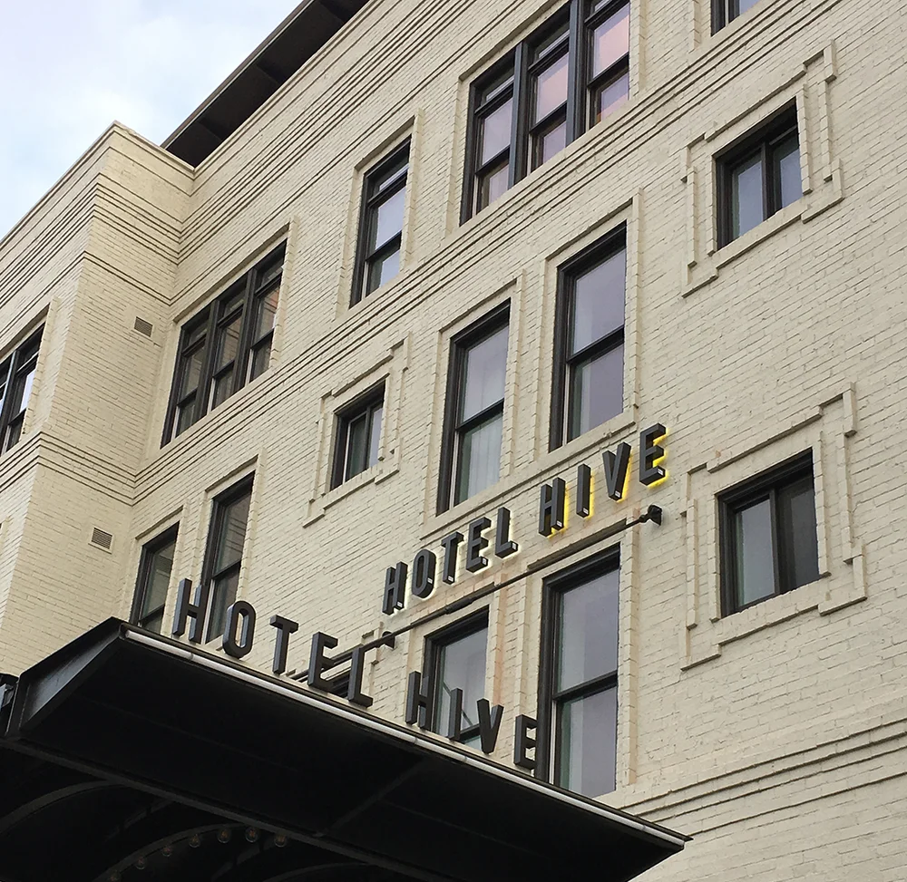 Hotel Hive — Jess Glebe Design