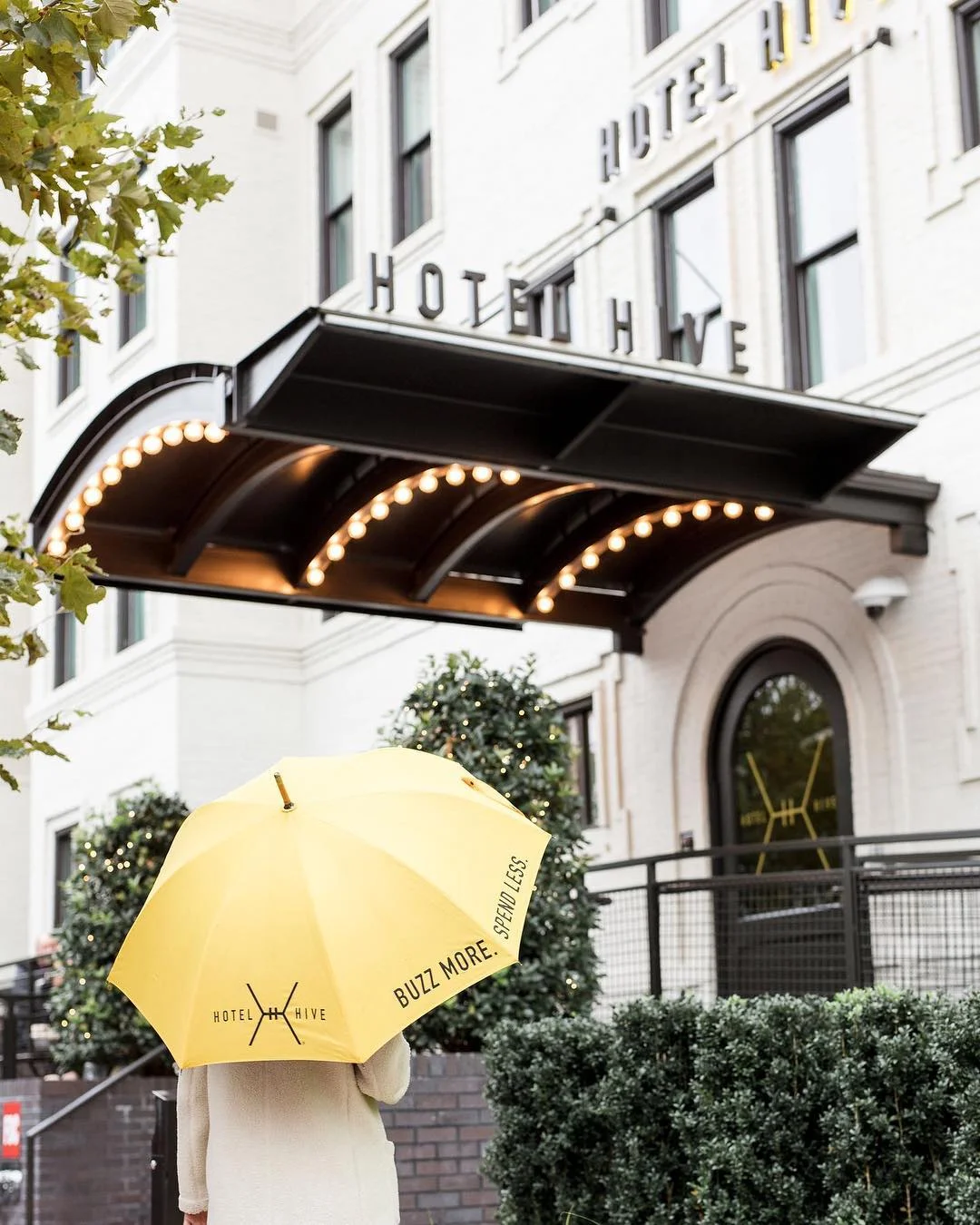 Hotel Hive — Jess Glebe Design