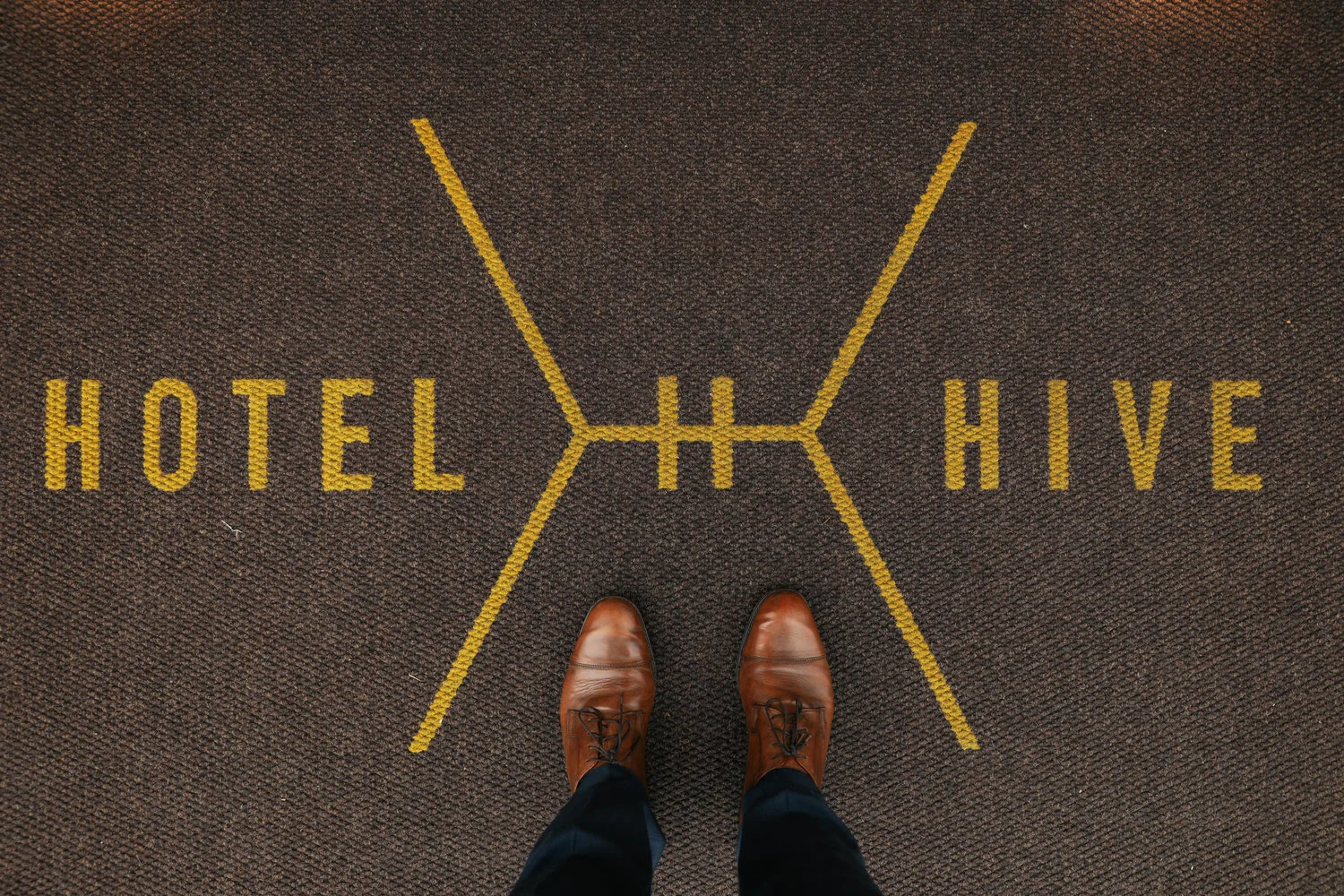 Hotel Hive — Jess Glebe Design