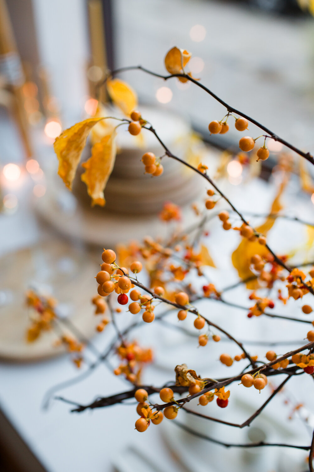 Ashley Sullivan Photo