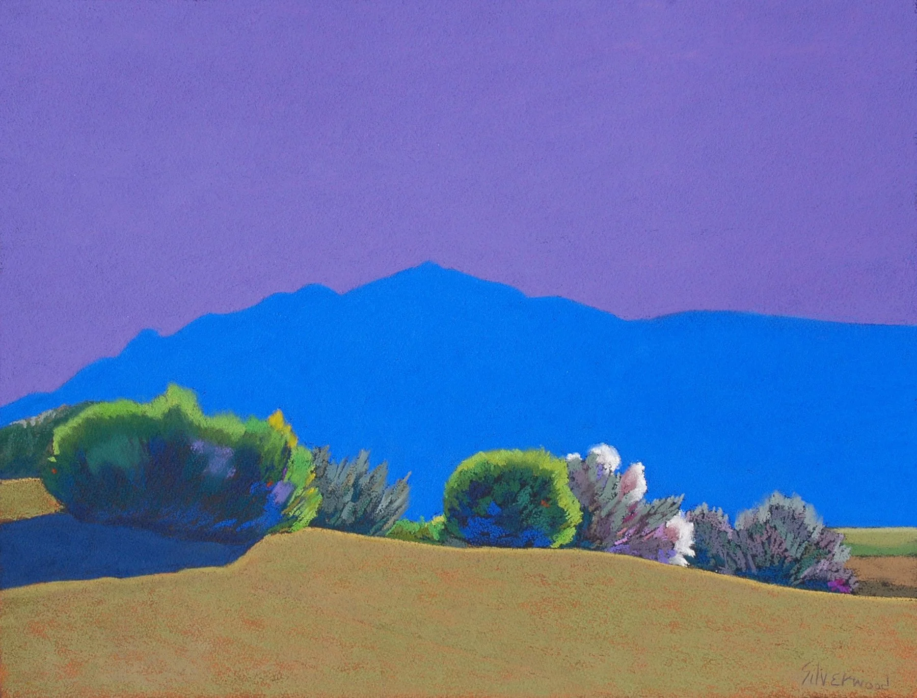 Mary Silverwood — Ventana Fine Art - Art Galleries Santa Fe NM ...