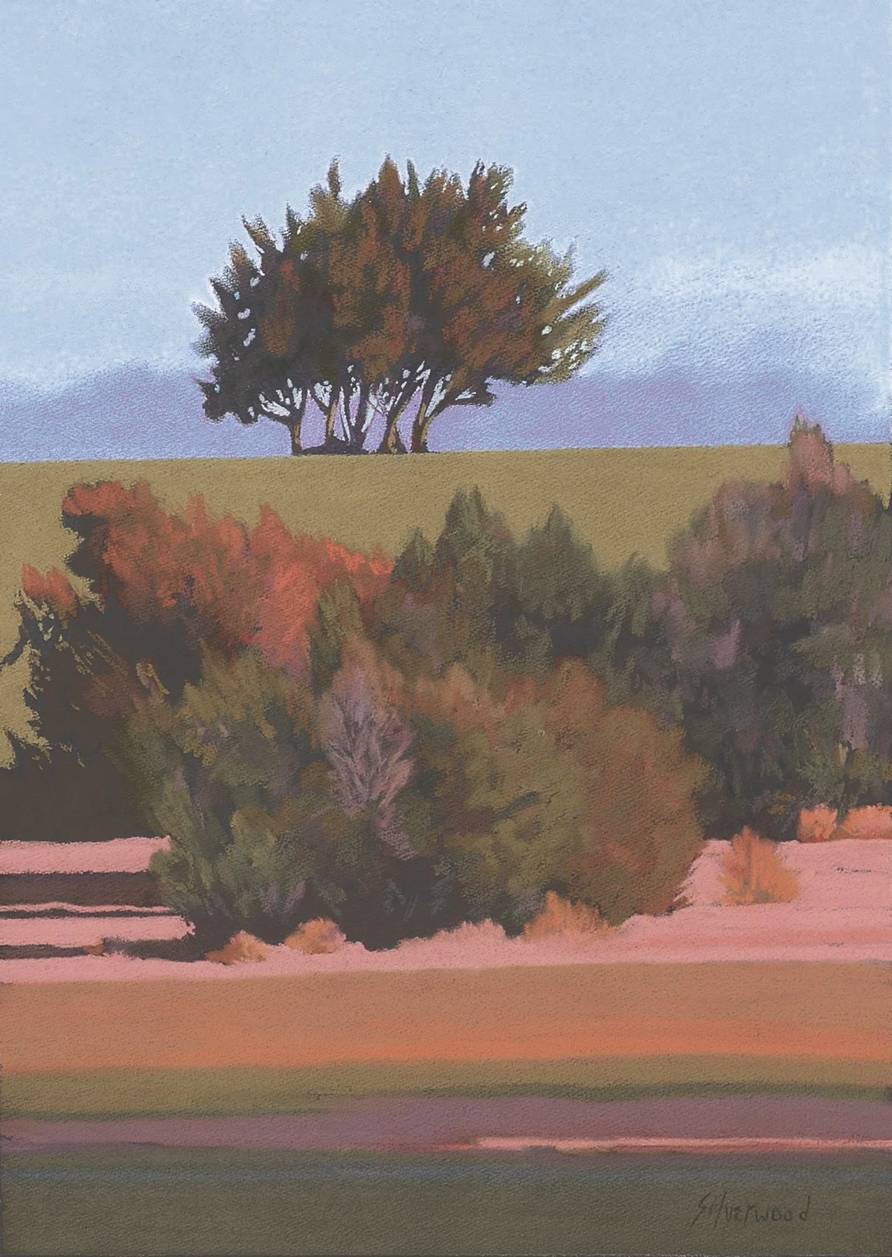 Mary Silverwood — Ventana Fine Art - Art Galleries Santa Fe NM ...