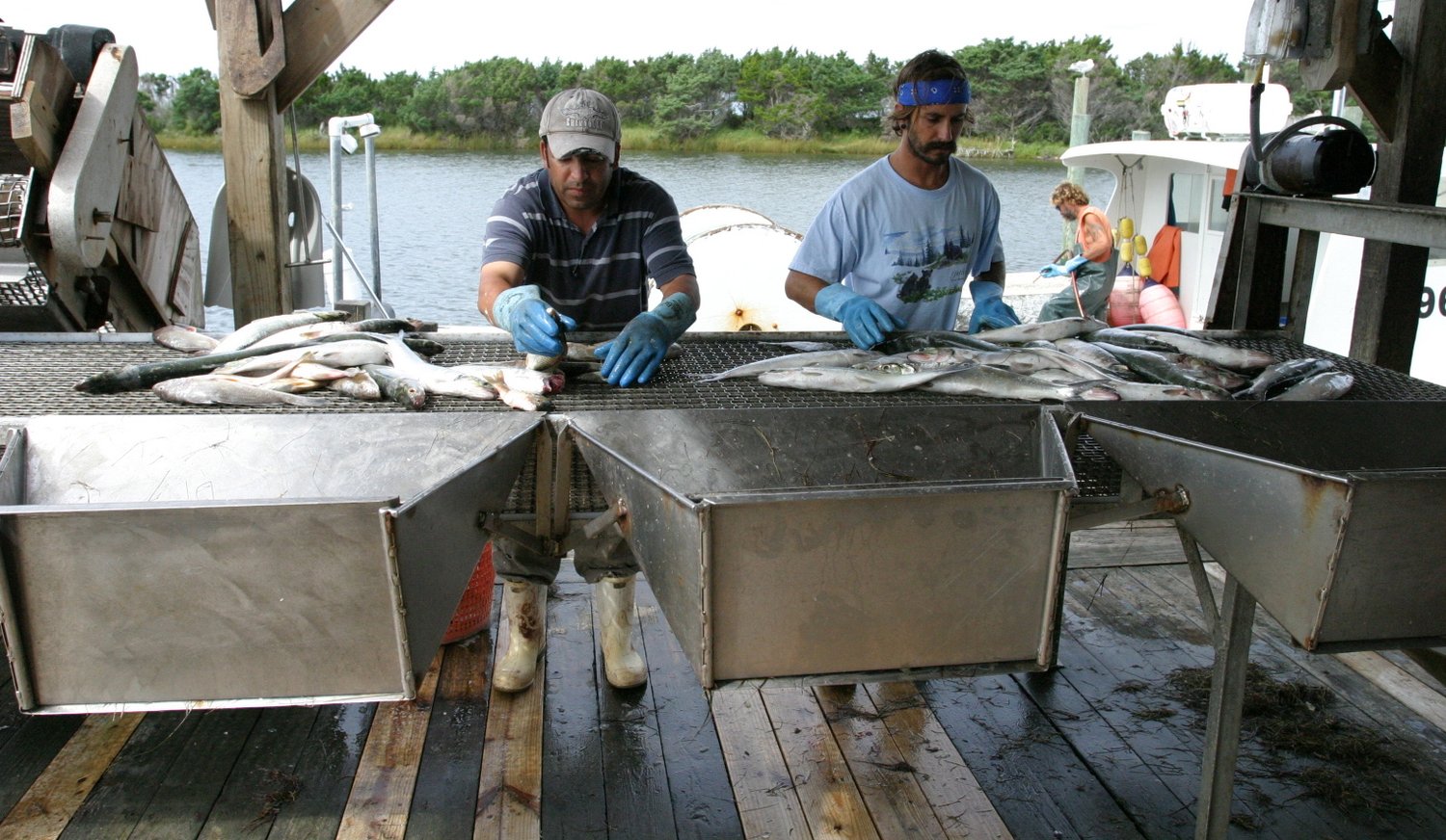 Mid-Atlantic Fishery Management Council