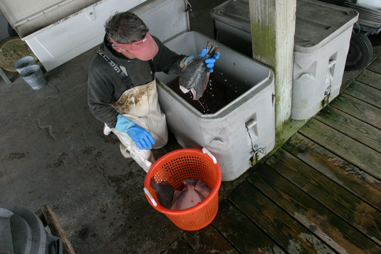Mid-Atlantic Fishery Management Council