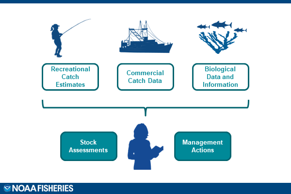Recreational Fishing Data — Mid-Atlantic Fishery Management Council