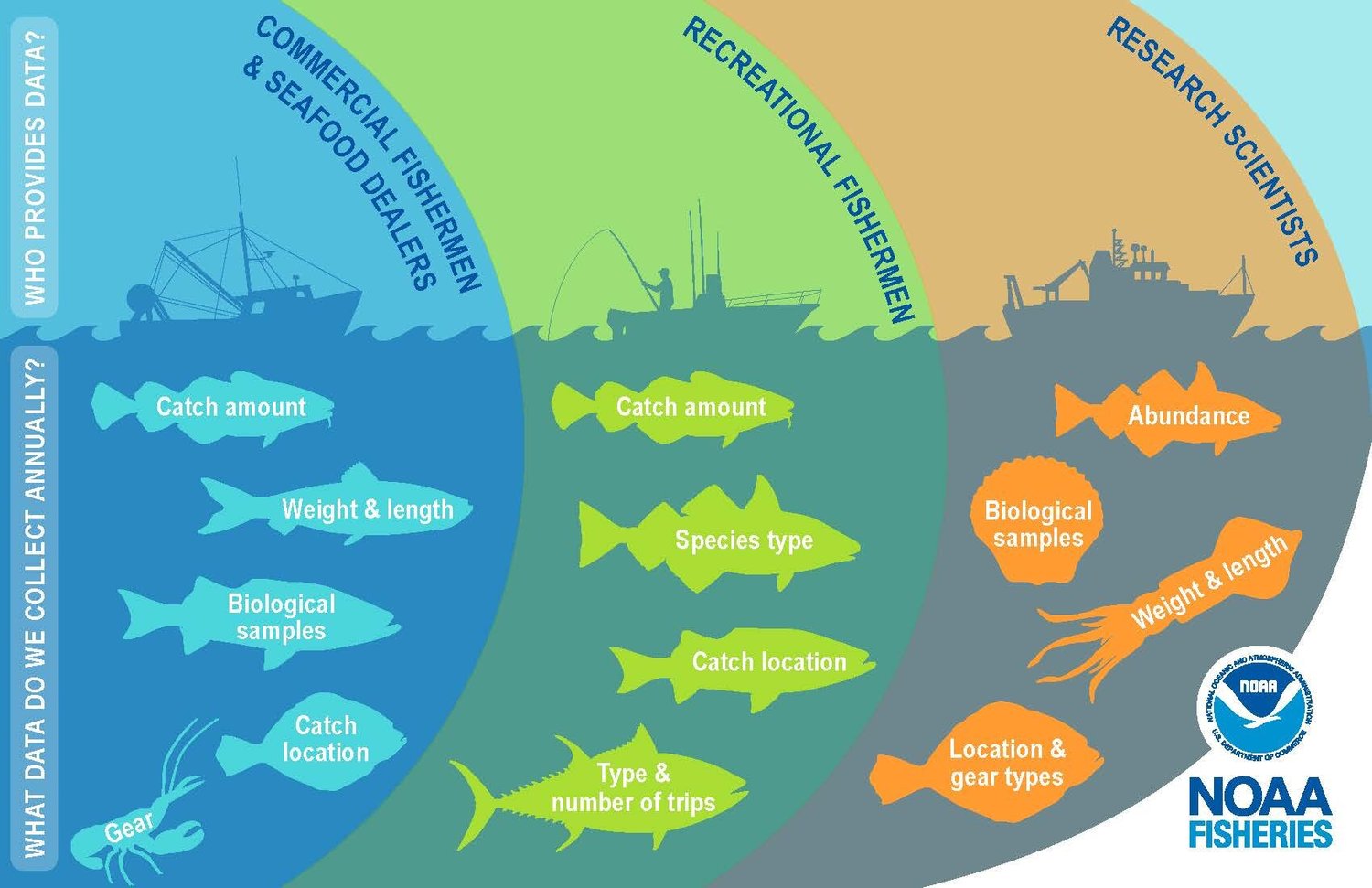 Stock Assessments — Mid-Atlantic Fishery Management Council