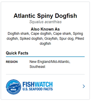 Spiny Dogfish — Mid-Atlantic Fishery Management Council
