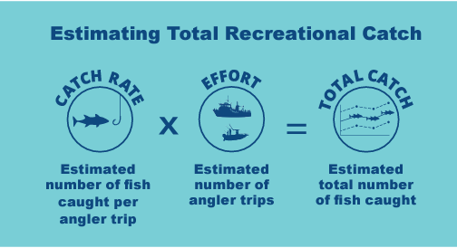Recreational Fishing Data — Mid-Atlantic Fishery Management Council