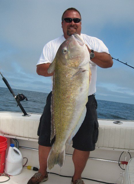 Recreational Tilefish Permitting and Reporting — Mid-Atlantic Fishery ...