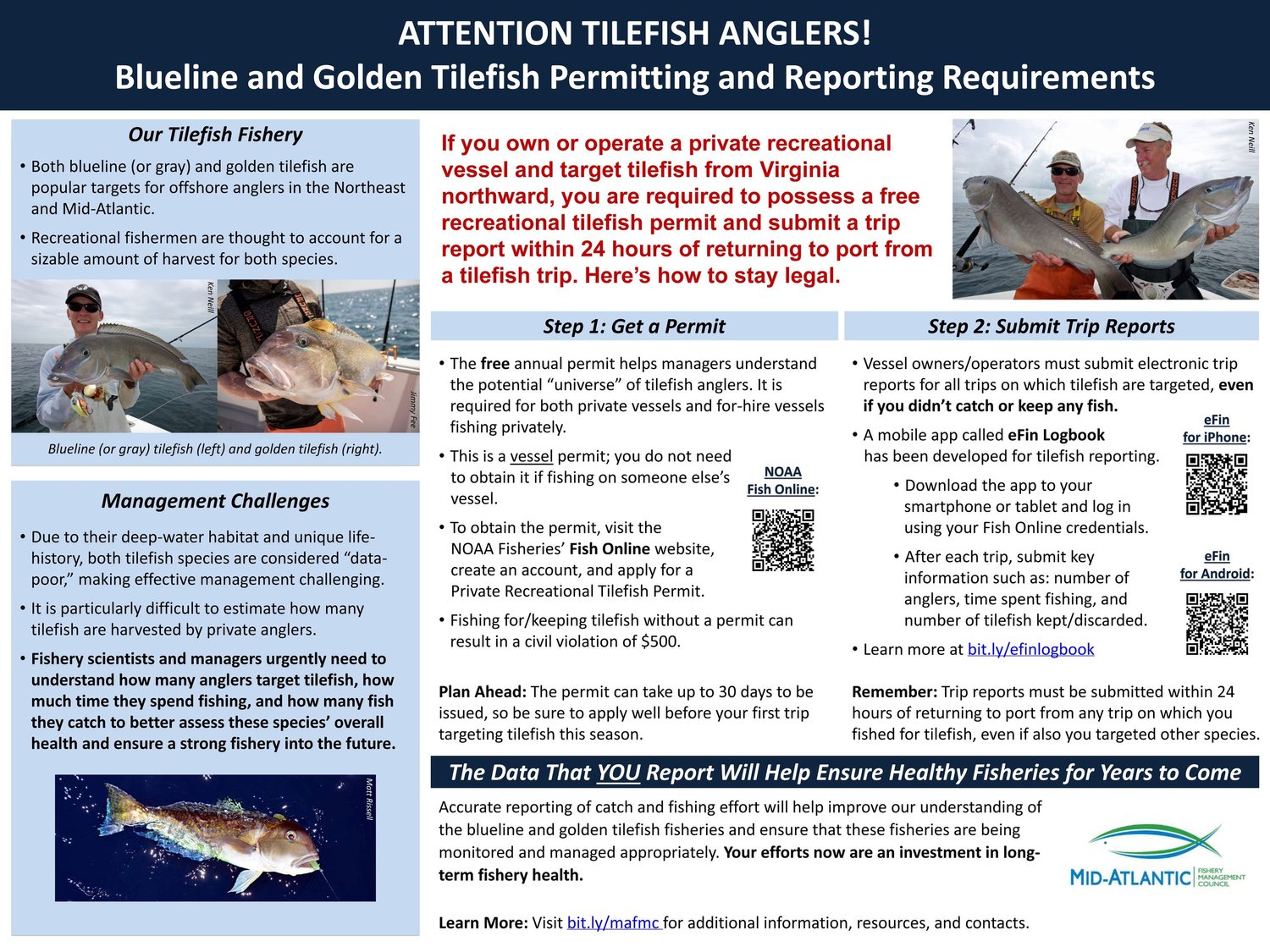 Recreational Tilefish Permitting and Reporting — Mid-Atlantic Fishery ...