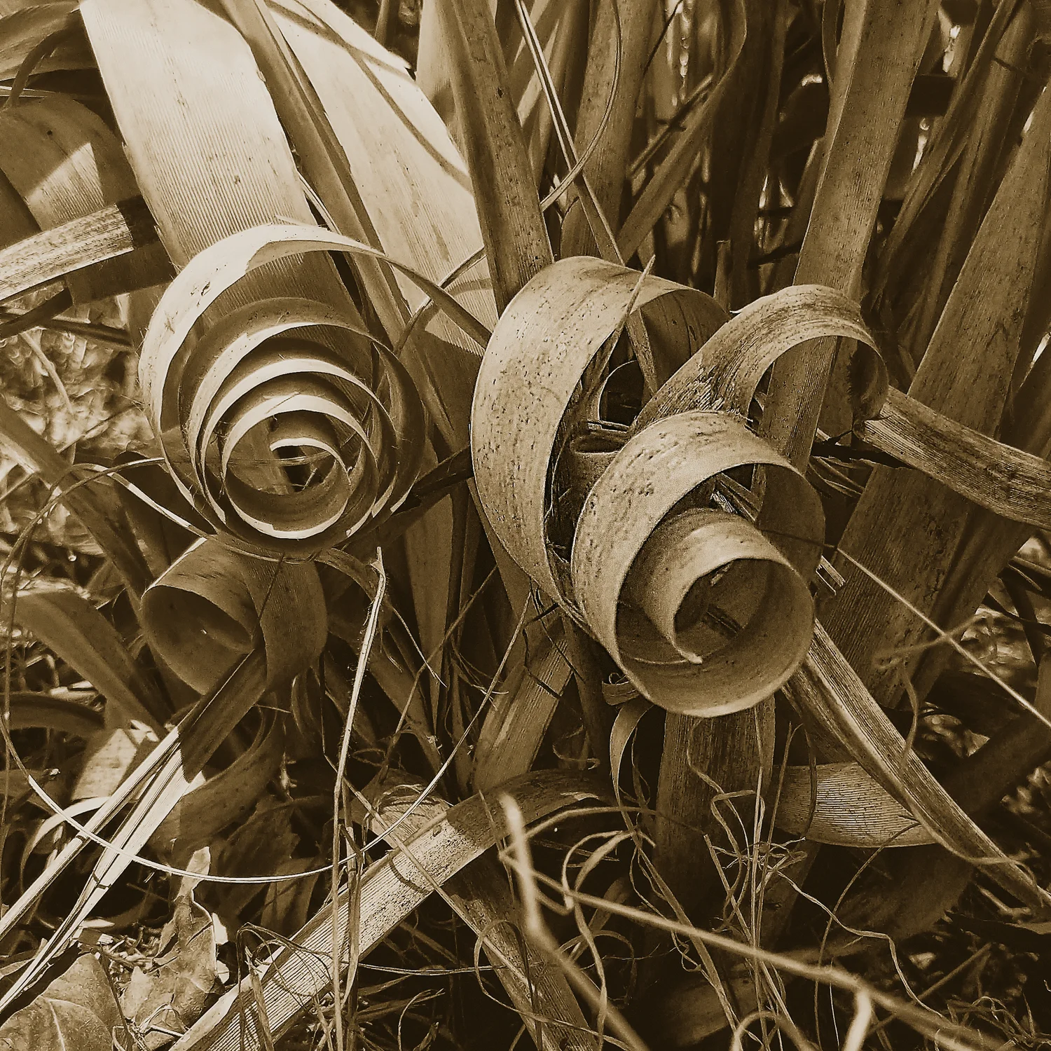 Gary Weiner Arts • Photographer • Musician • Writer