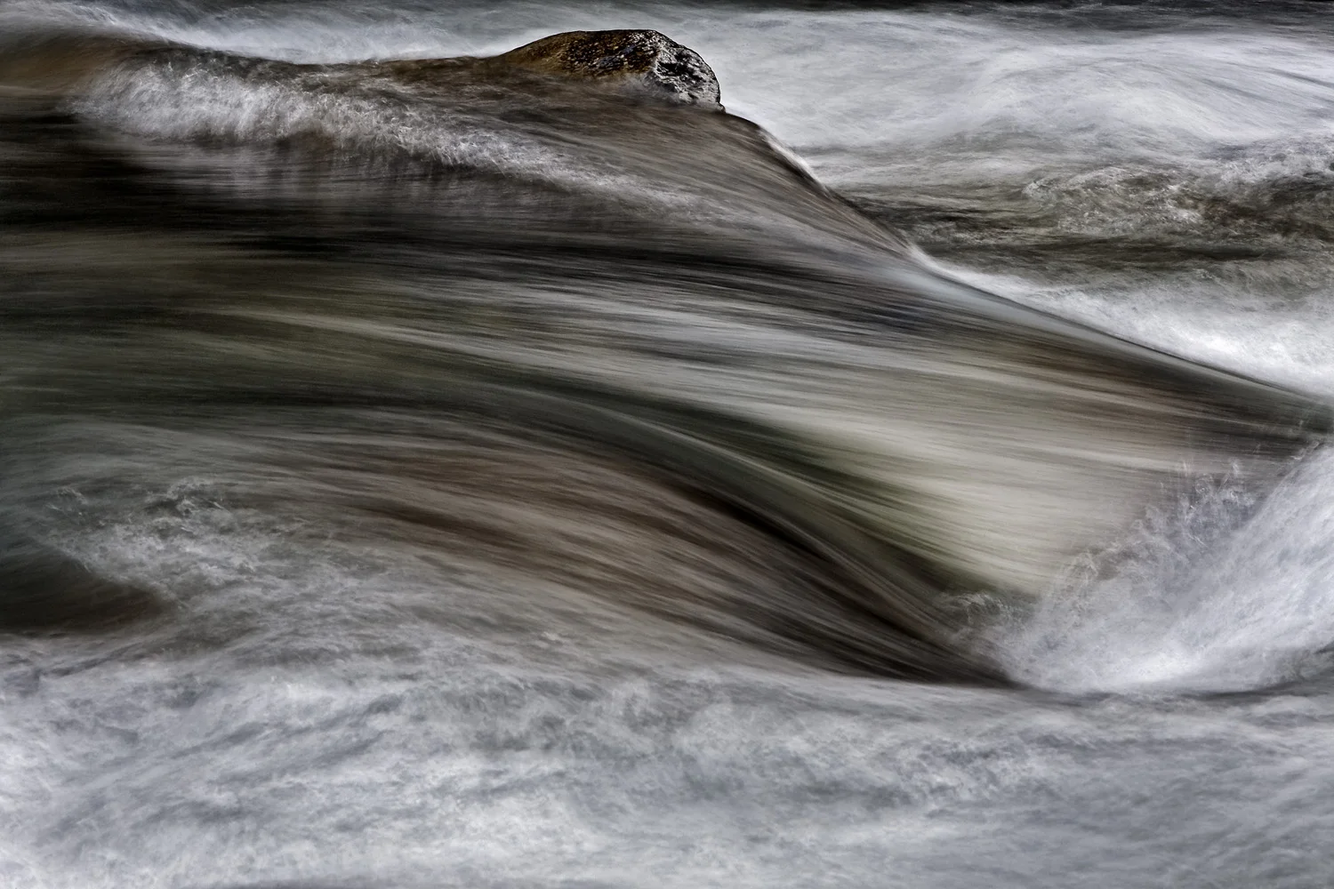 dan paton - photographer