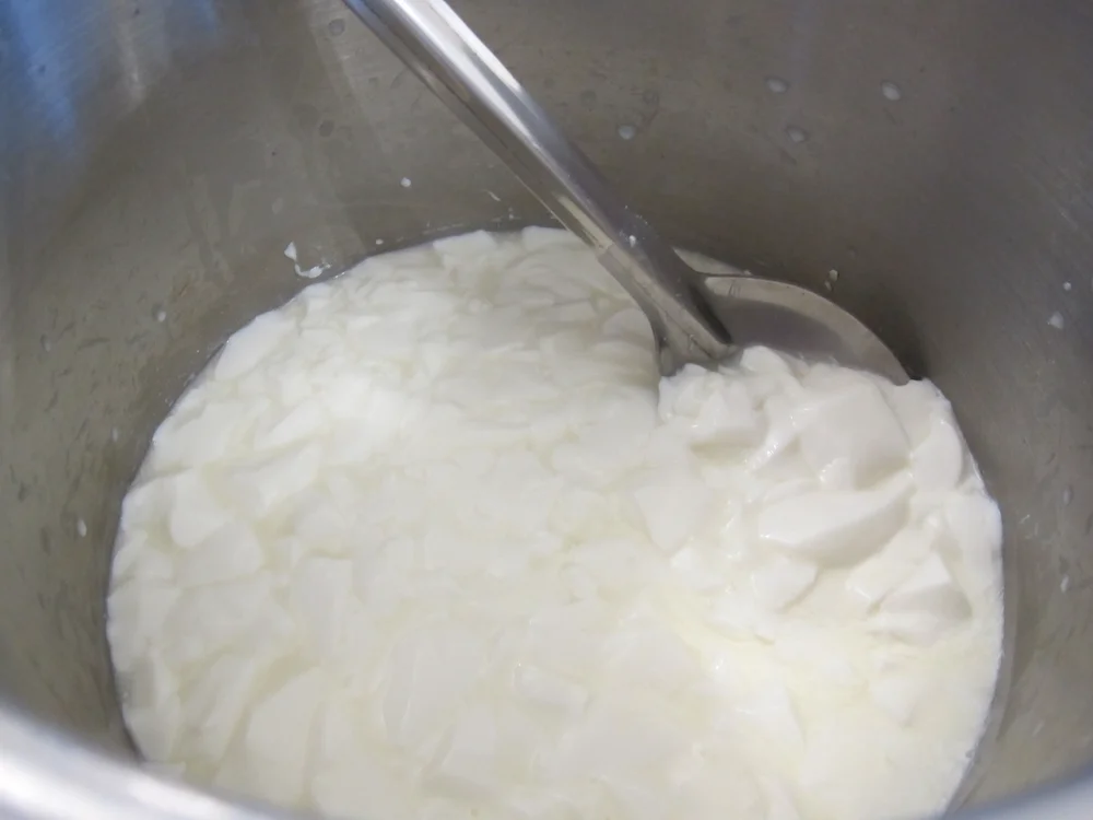 Cottage Cheese Making — Tasting Page